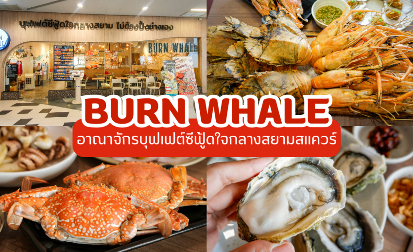 เอาใจคนรักอาหารทะเล กับ "Burn Whale" อาณาจักรบุฟเฟต์ซีฟู้ดย่างให้พร้อม ...
