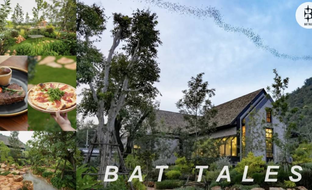 สัมผัสประสบการณ์ชม ค้างคาว ในบรรยากาสคาเฟ่ที่ Bat Tales Cafe ...