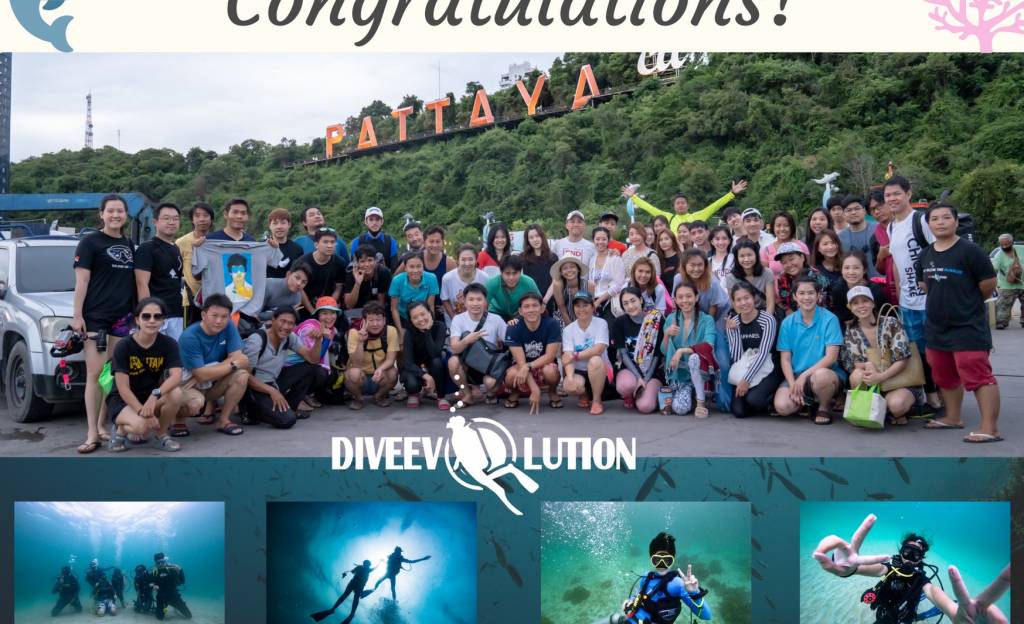 'Dive Evolution' โรงเรียนสอน Scuba Diving ในกรุงเทพฯ ตามหลักสูตร NUAI ...
