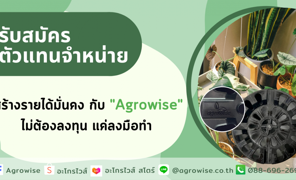เปิดรับสมัครตัวแทนจำหน่าย คนรักต้นไม้ รักสวน ห้ามพลาด “Agrowise” แหล่ง ...