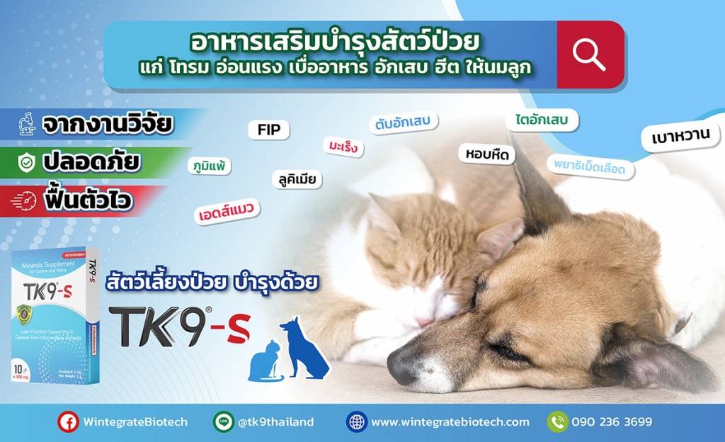 TK9-S อาหารเสริมบำรุงสัตว์ป่วย ทางเลือกใหม่ที่สัตวแพทย์และผู้เลี้ยงสัตว์มั่นใจได้