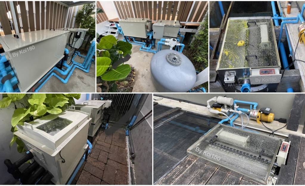 ‘AQUA PRO SYSTEM’ By Koi180 genius วัสดุกรองบ่อปลา ปรับปรุงระบบบ่อ แก้ไขปัญหาน้ำไม่ใส ให้ปลาที่ ...