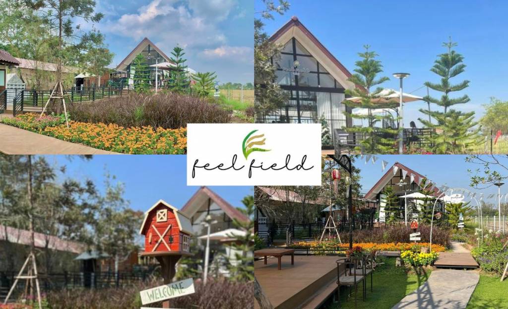 ชวนมาเสียบปลั๊กชาร์จพลังจากธรรมชาติ ด้วยคาเฟ่ฟีลดีๆ ที่ “feel field ...
