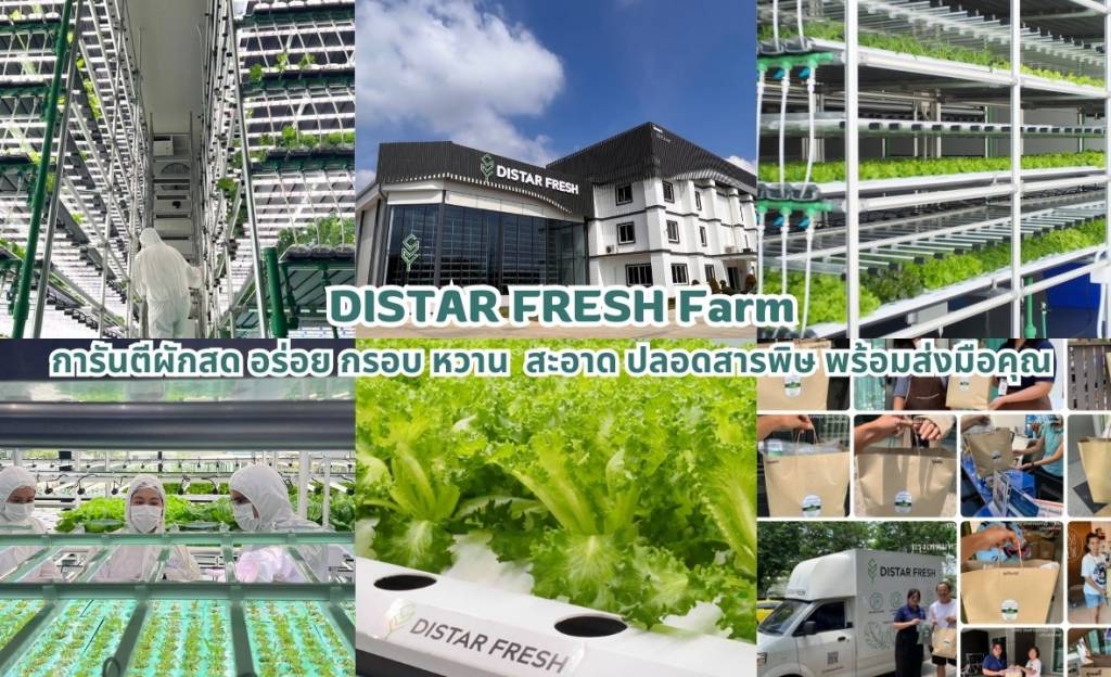 ให้เราดูแลผัก ให้ผักดูแลคุณ กับ “DISTAR FRESH Farm” เปิดให้บริการ ...